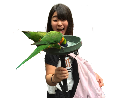Intensive English for Primary and High School | JPIC Intensive English for Primary and High School | JPIC